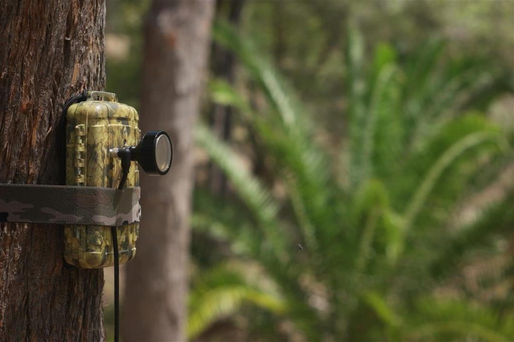 Enregistreur acoustique passif Titley Anabat Swift - SeebySound